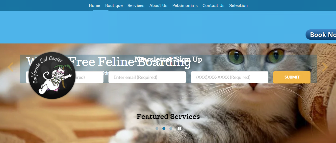50 Best Cattery Website Design