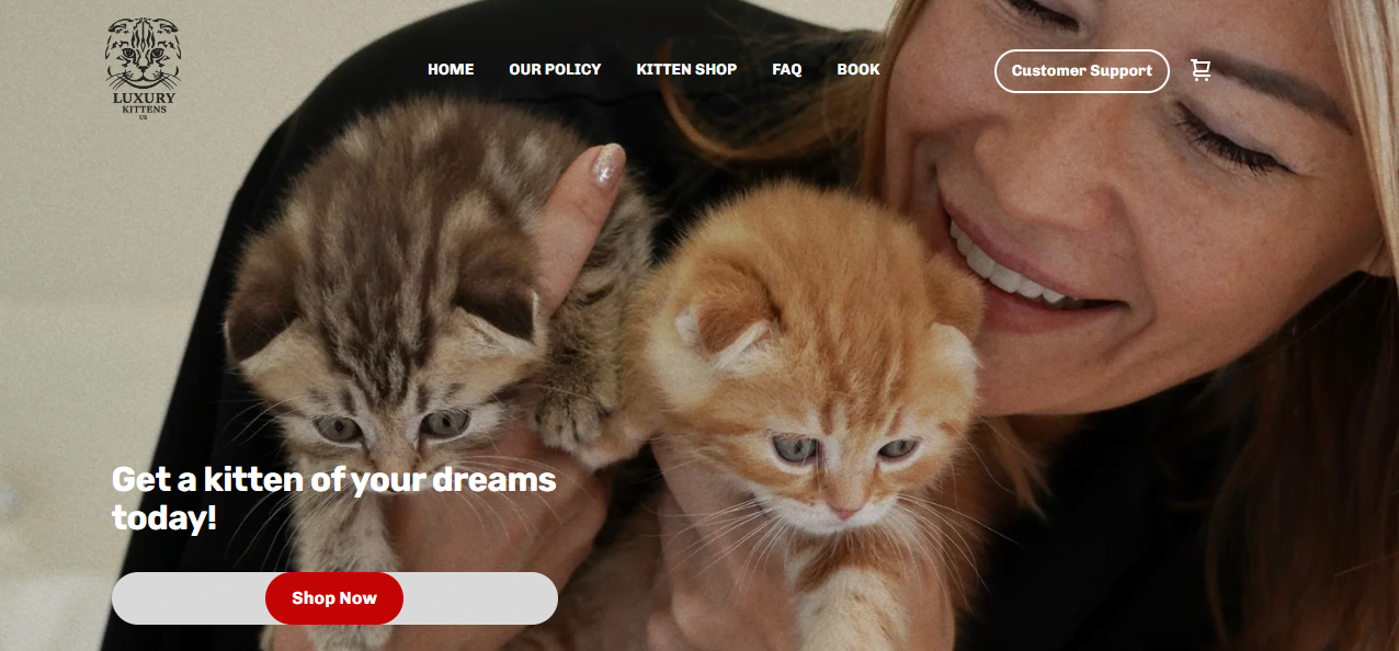 50 Best Cat Breeder Website Design