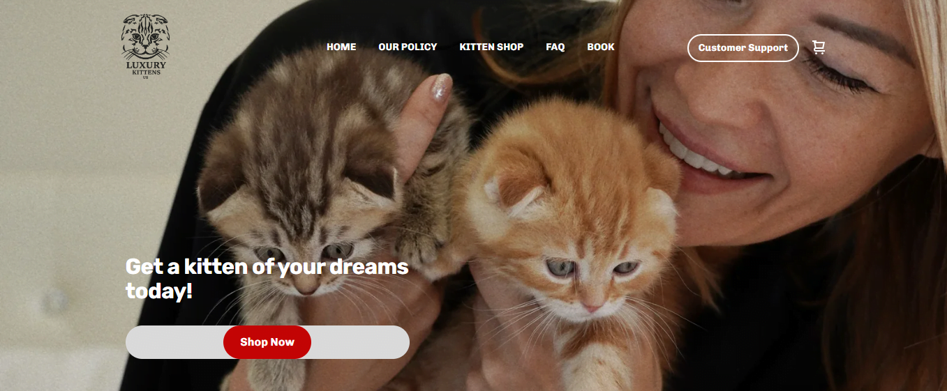 50 Best Cattery Website Design