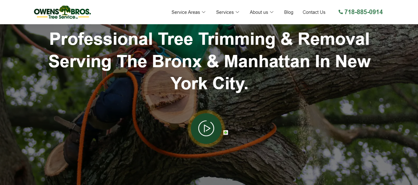 50 Best Tree Service Website Design
