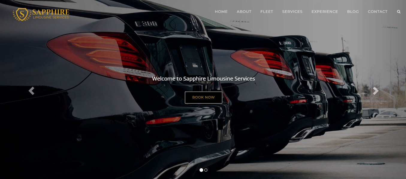 50 Best Website Design For Limousine Service