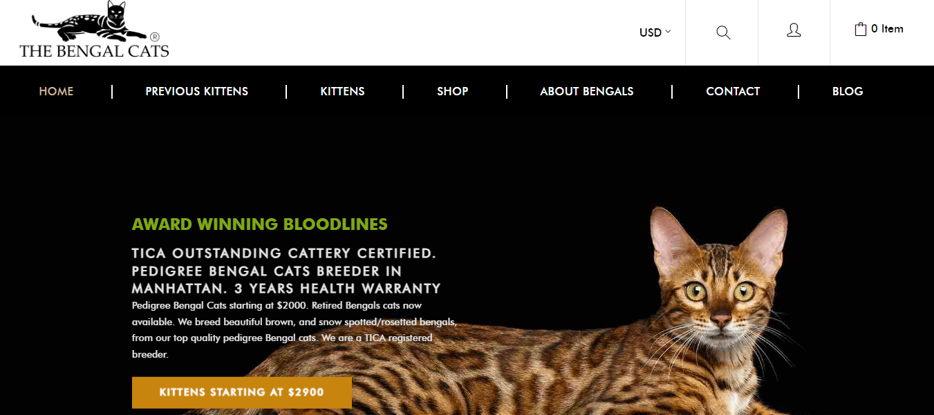 50 Best Cat Breeder Website Design